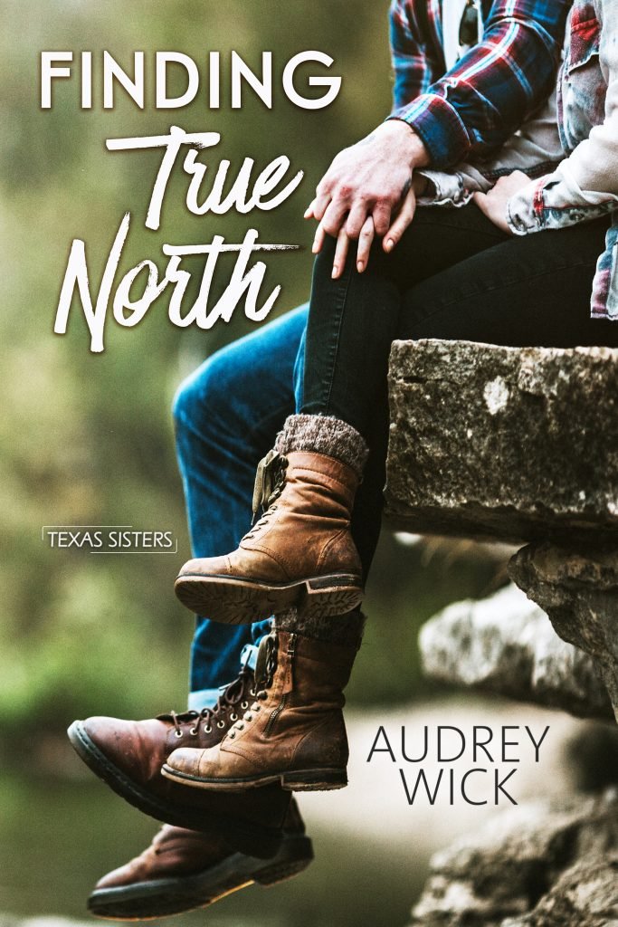 Finding True North (Review) – Comet Readings
